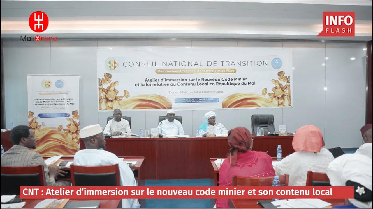 IMMERSION SUR LE NOUVEAU CODE MINIER ET SON CONTENU LOCAL EN RÉPUBLIQUE ...